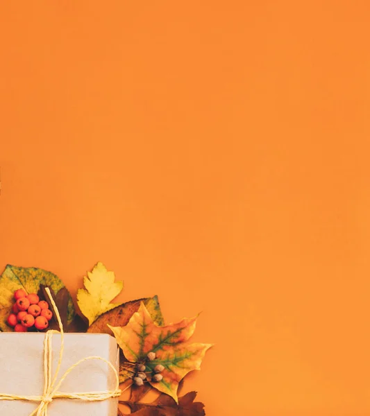 Fall Birthday Backgrounds