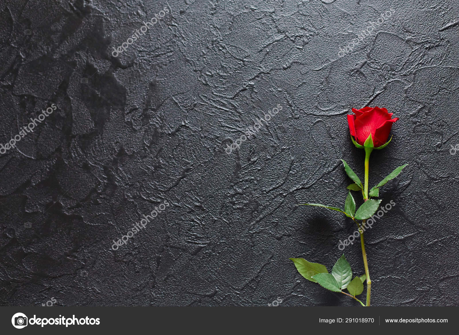 Red rose on a black background, stone. A condolence card. Empty — Stock ...
