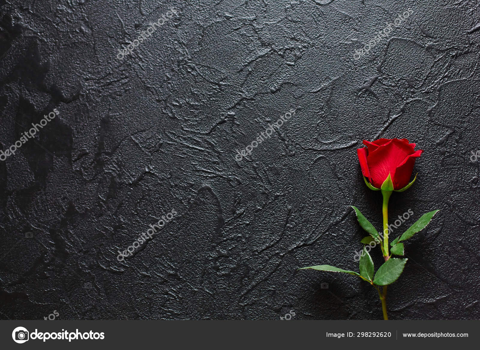 Red rose on a black background, stone. A condolence card. Empty — Stock ...
