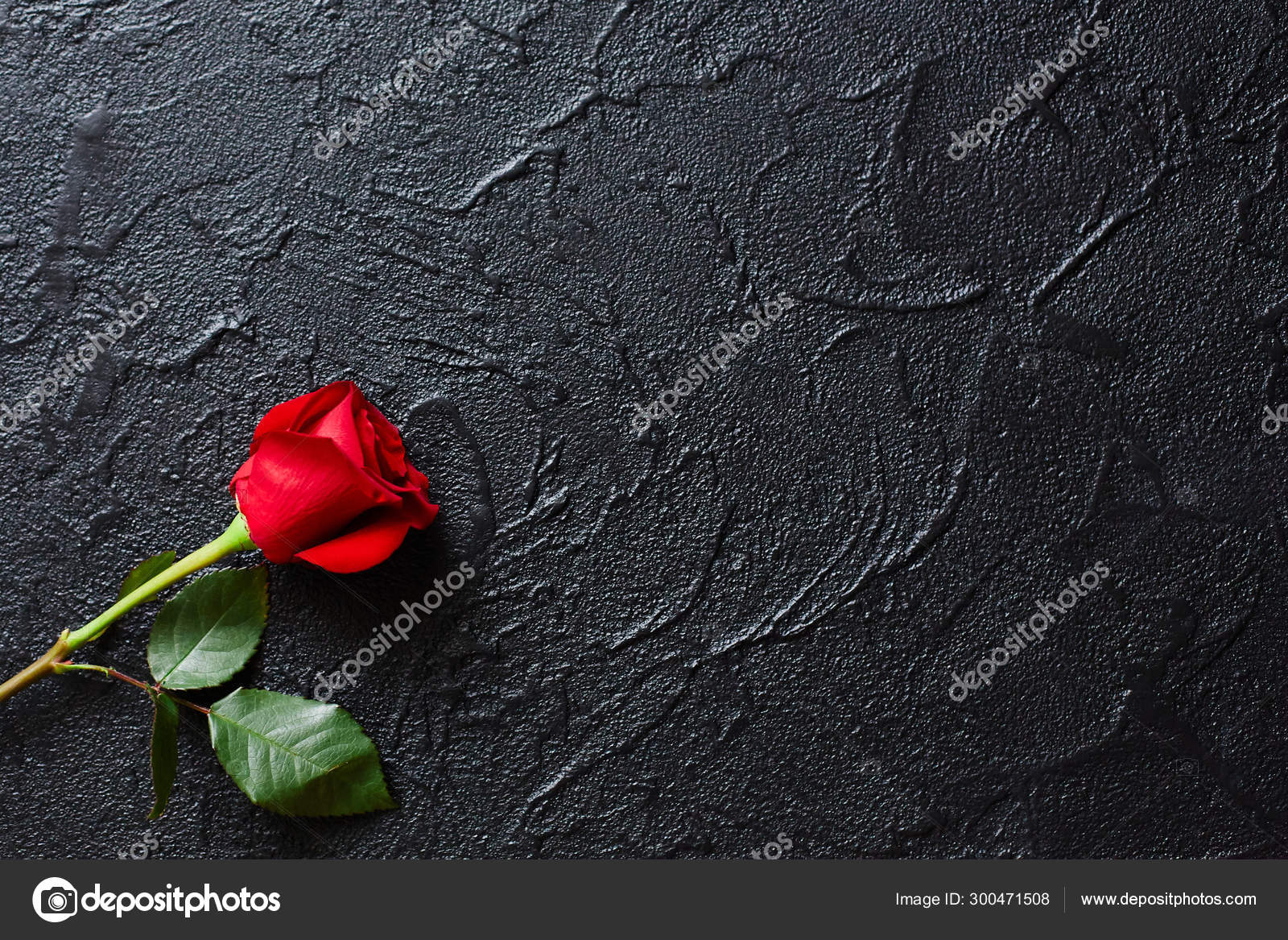 Red rose on a black background, stone. A condolence card. Empty space ...