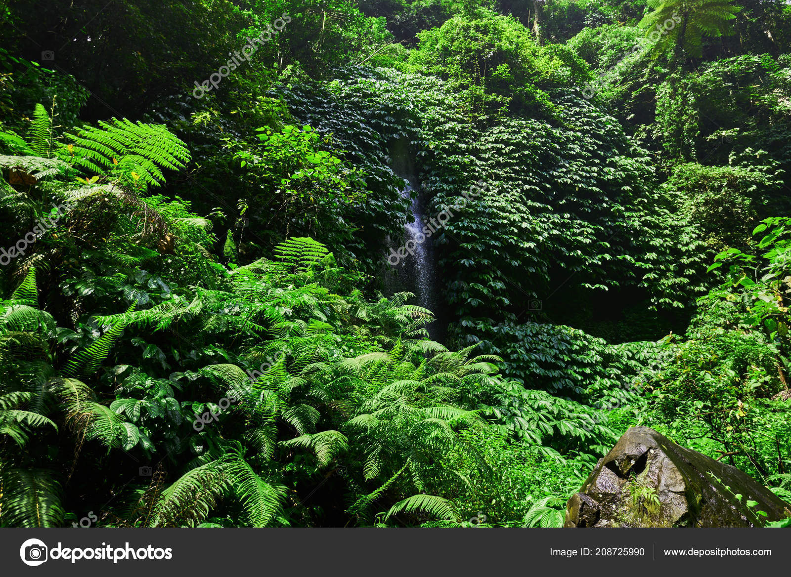 Stream Water View Amazing Beautiful Waterfall Sunlight Perfect View ...