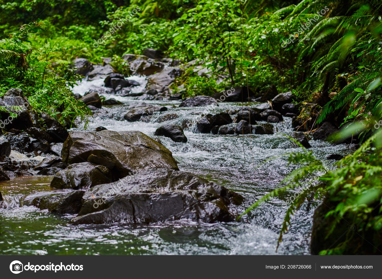 Close Streams Water Mountain Stones Beautiful Mountain River Stream ...