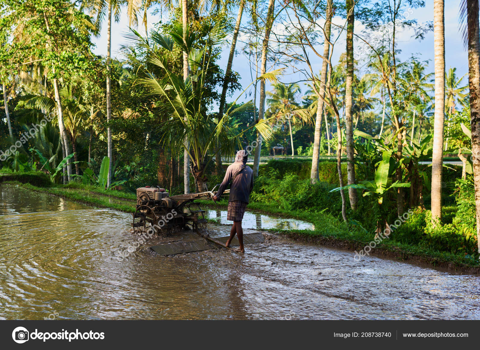 Farmer Working Handheld Motor Plow Rice Field Walking Tractor Small ...