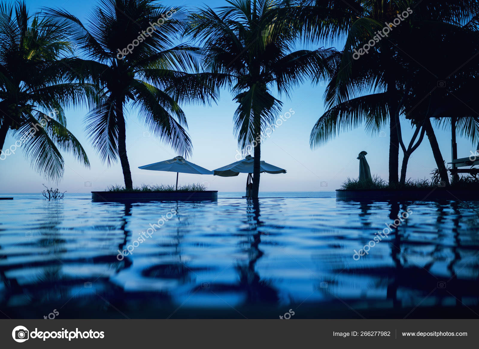 Piscina Con Palmeras Cerca Del Océano Paraguas Piscina Aire Libre ...