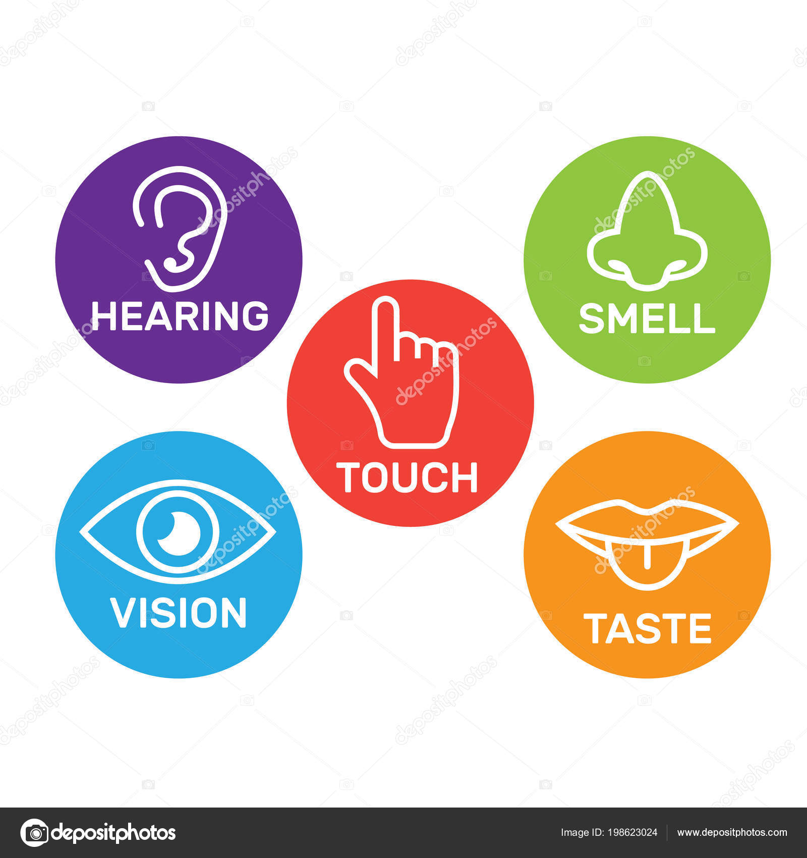 Sentidos Icono Color Colección Cinco Sentidos Icono Conjunto Vector de ...