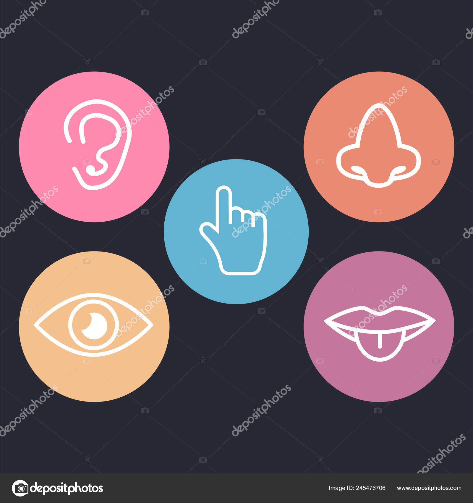 5 Senses Icon 2,531 5 Senses Icons Images, Stock Photos, 3D Objects,