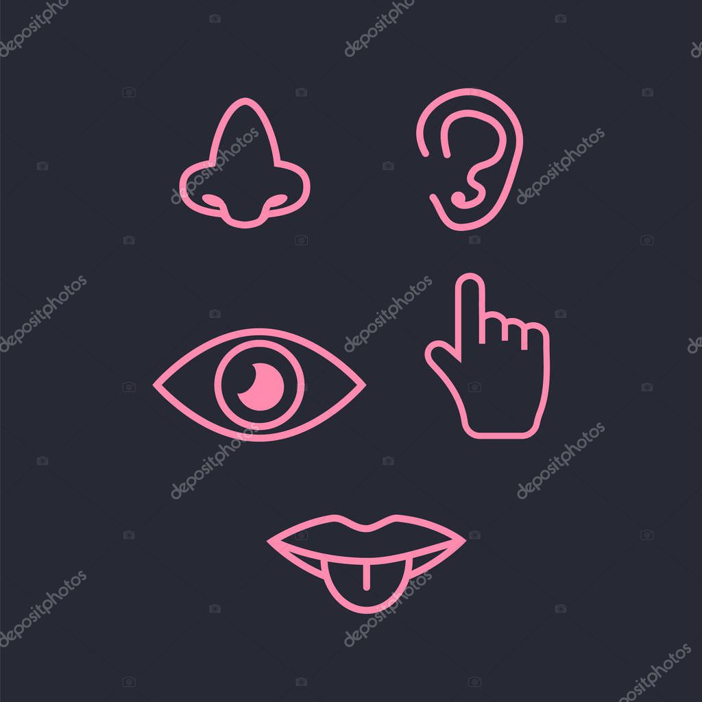 Conjunto de iconos de los cinco sentidos humanos. 2024