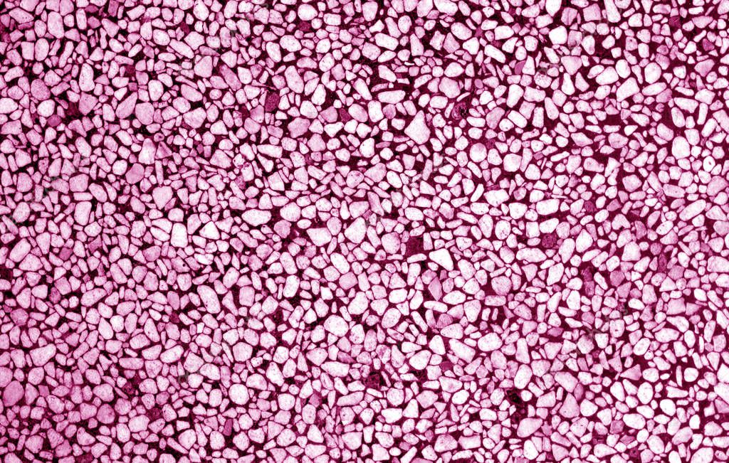 Pared hecha de piedras pequeñas en tono rosa. Fondo abstracto y textura ...