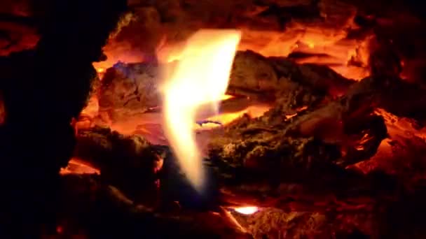 2,841 The scout Stock Videos, 4K & HD Footage | Depositphotos