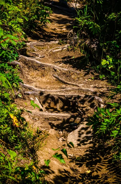 Grit pathway Stock Photos, Royalty Free Grit pathway Images | Depositphotos