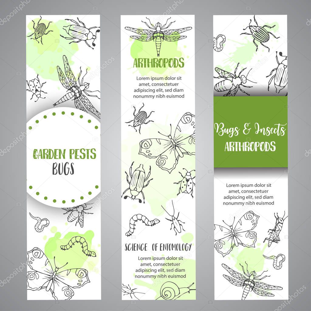 insectos insectos banner dibujado a mano. Concepto de control de plagas ...