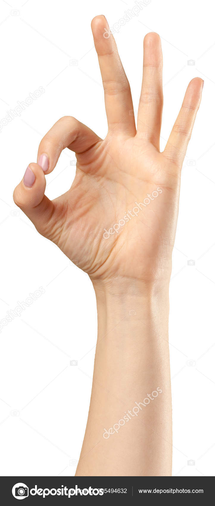 Female Hand Gesture White Background — Stock Photo © Fotofabrika #205494632