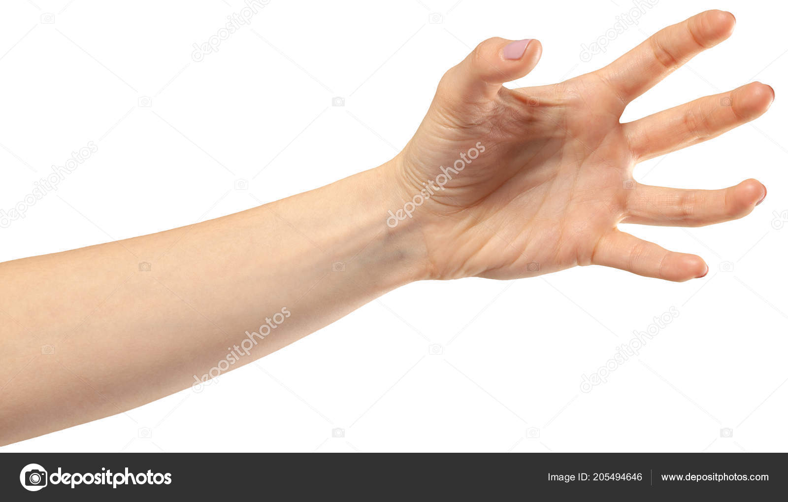 Female Hand Gesture White Background Stock Photo by ©Fotofabrika 205494646