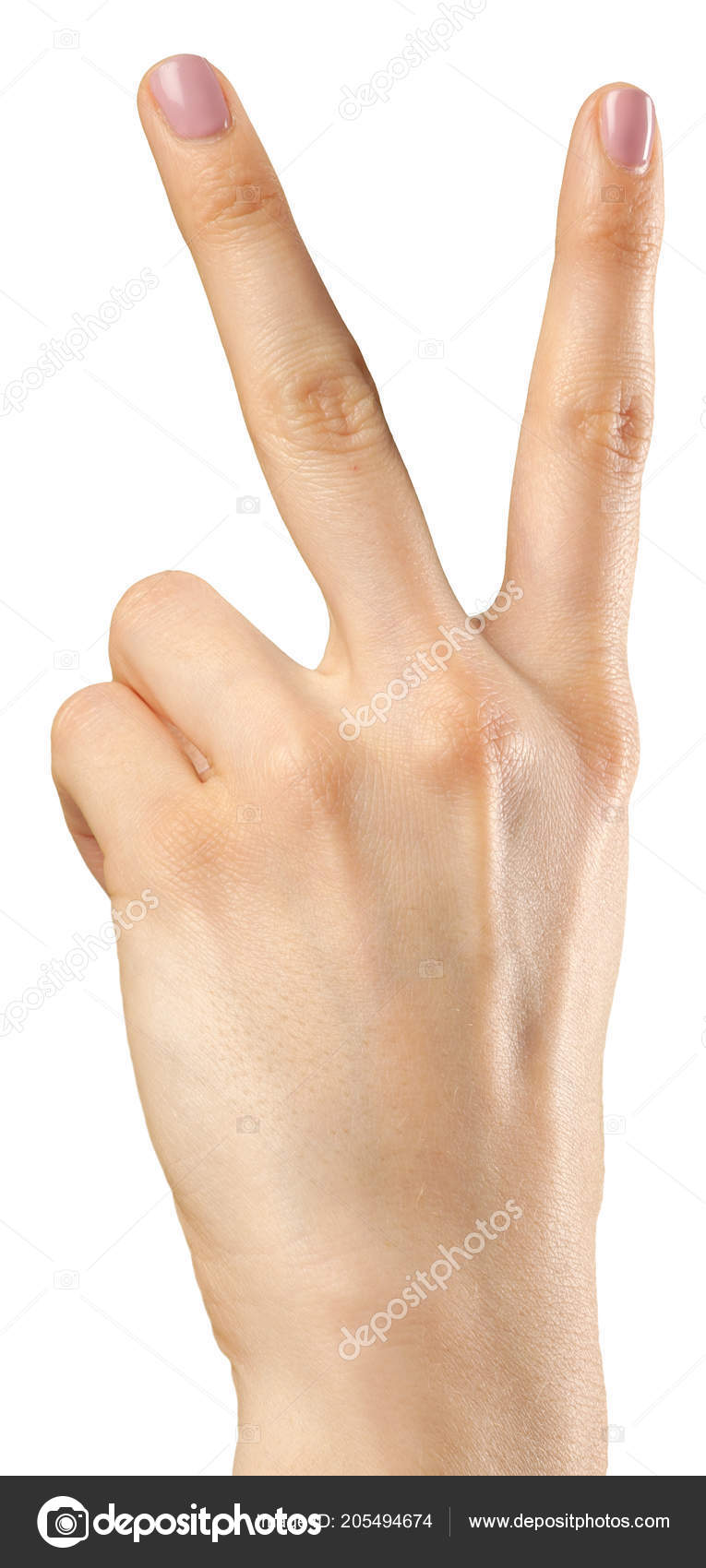 Female Hand Gesture White Background — Stock Photo © Fotofabrika #205494674