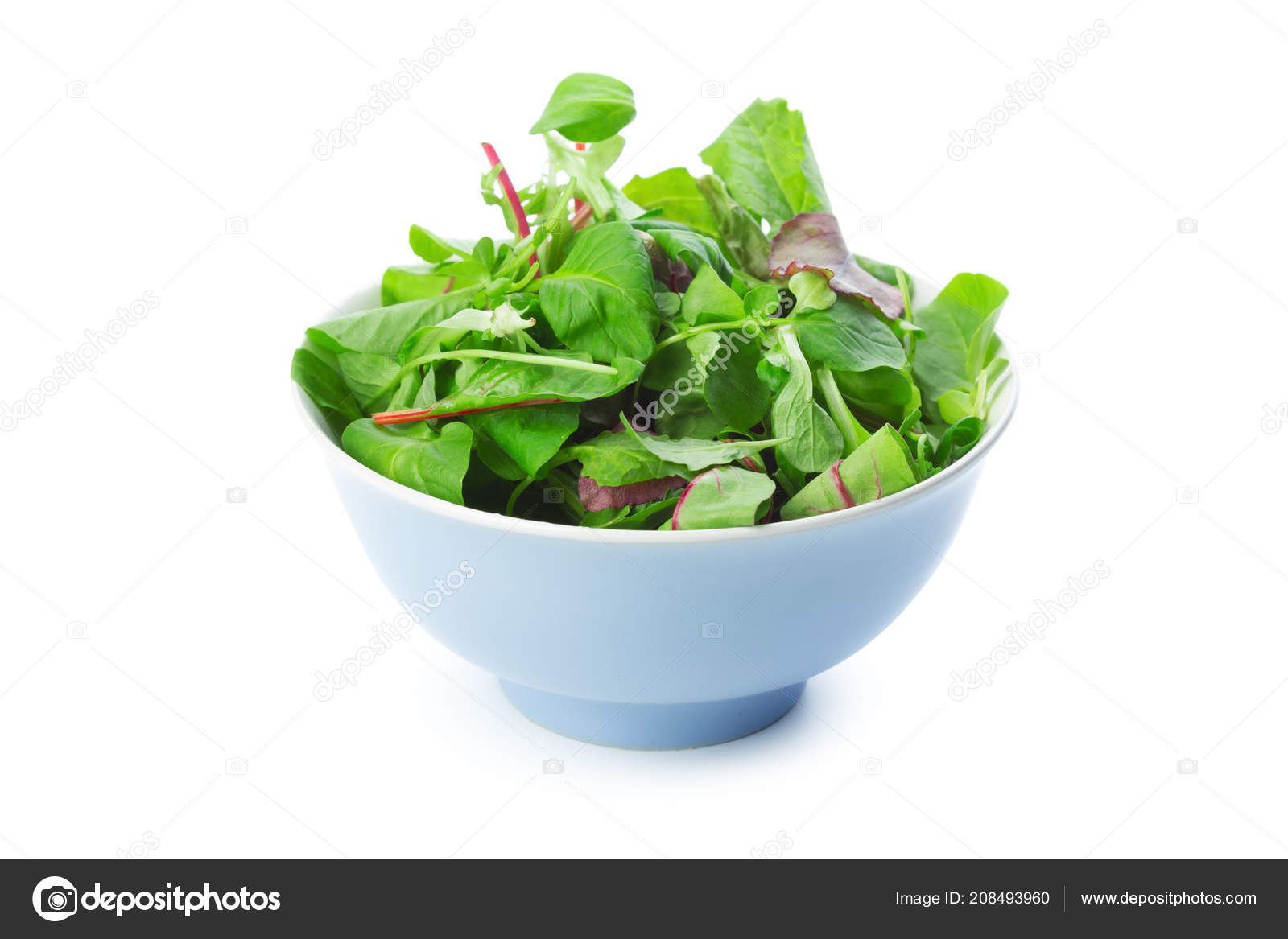 Greenery Close Isolated White Background Stock Photo by ©Fotofabrika ...