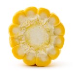 The corn cob pith Stock Photo by ©Xalanx 36966441