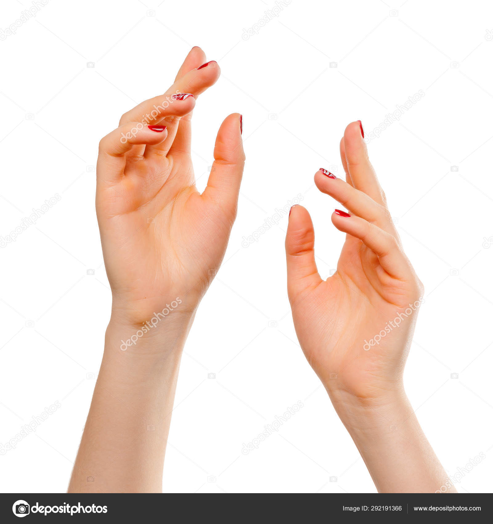 Close Beautiful Woman's Hands Palms Isolated White Background — Stock ...