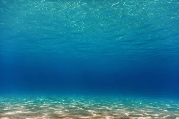 Bottom Stock Photos, Royalty Free Bottom Images | Depositphotos