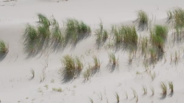 239 The kaliningrad region Videos, Royalty-free Stock The kaliningrad ...