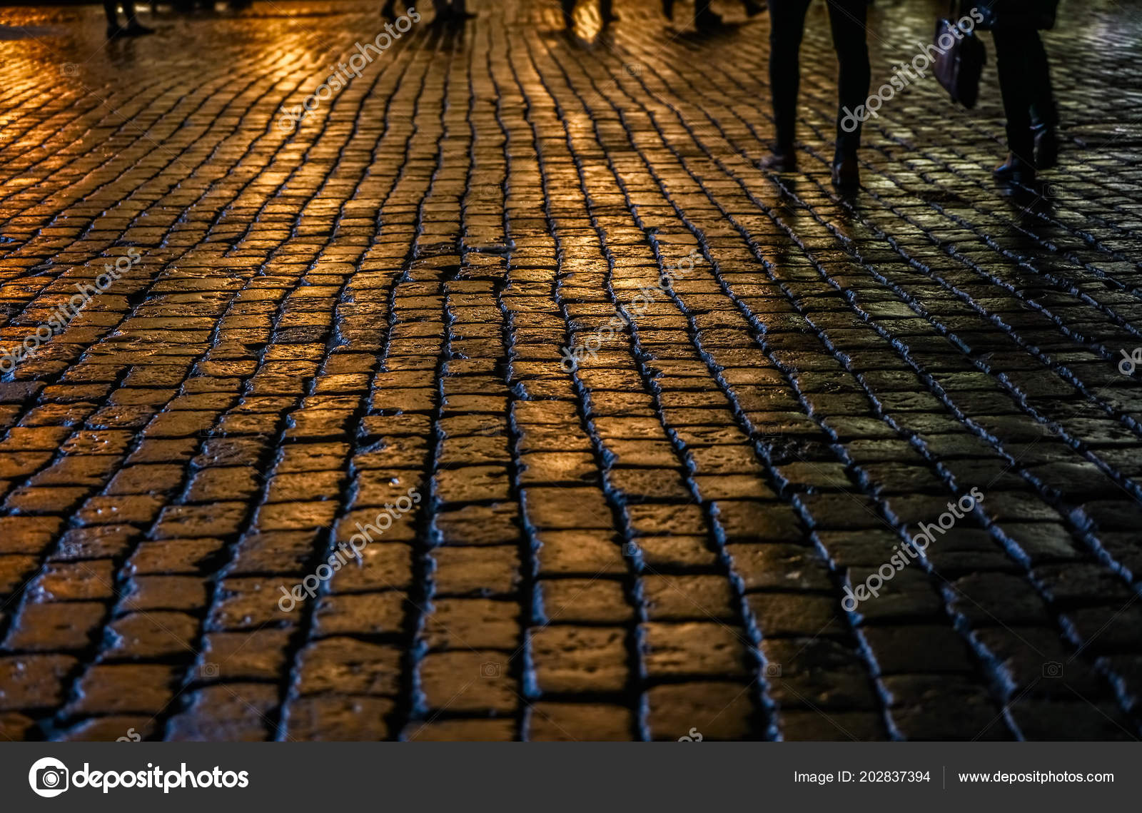 Cobblestone Road Photography