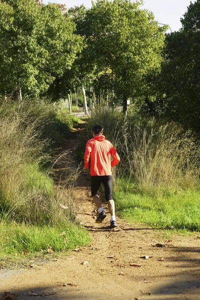 Athlete runner. man running on land path, rear view. - Stock Image ...