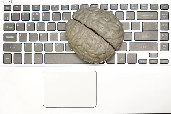 Human head top view Images - Search Images on Everypixel