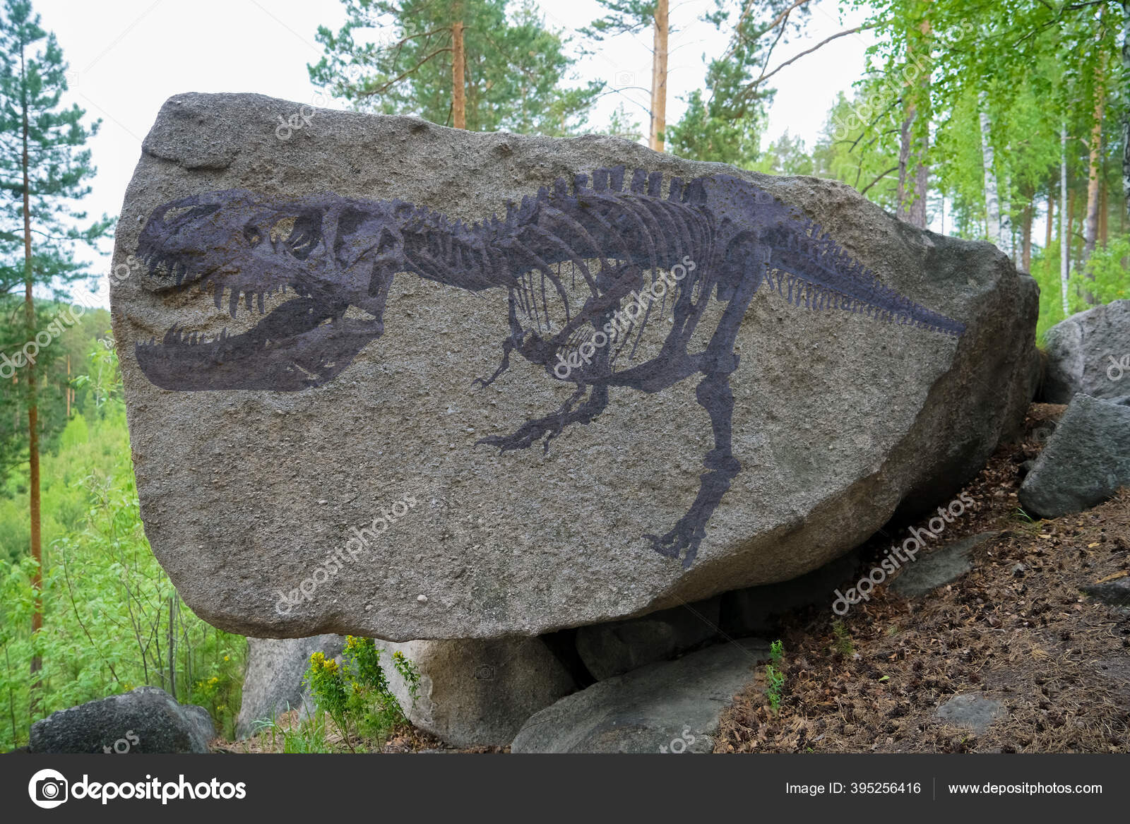 Dinosaur Skeleton Stone Surface Texture Limestone Rock Face Beautiful ...