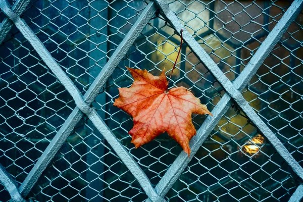 Broken canopy Stock Photos, Royalty Free Broken canopy Images ...