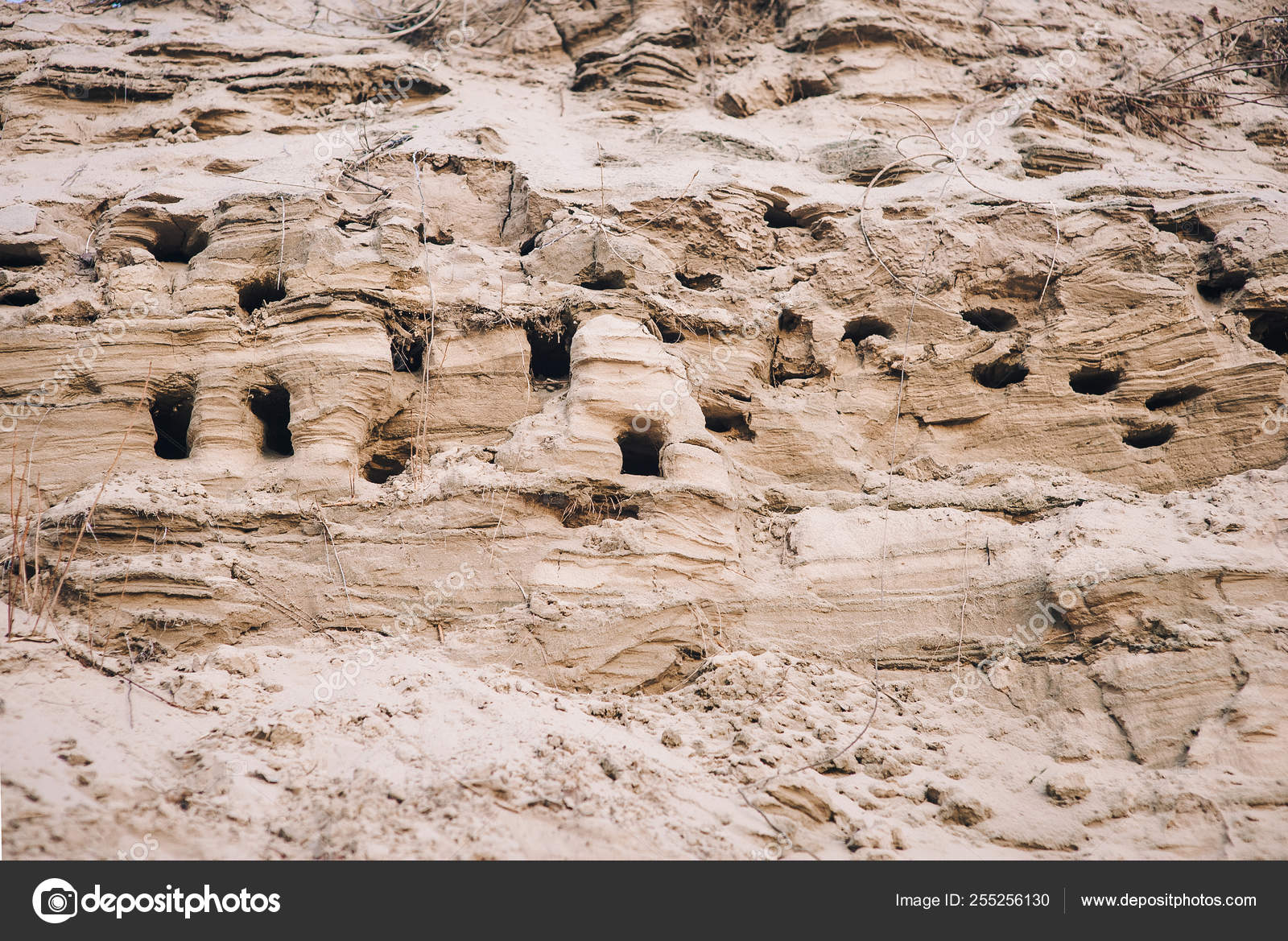 Swallow Holes Clay Soil Bird's Burrow Sand Stock Photo by ©Shchus 255256130