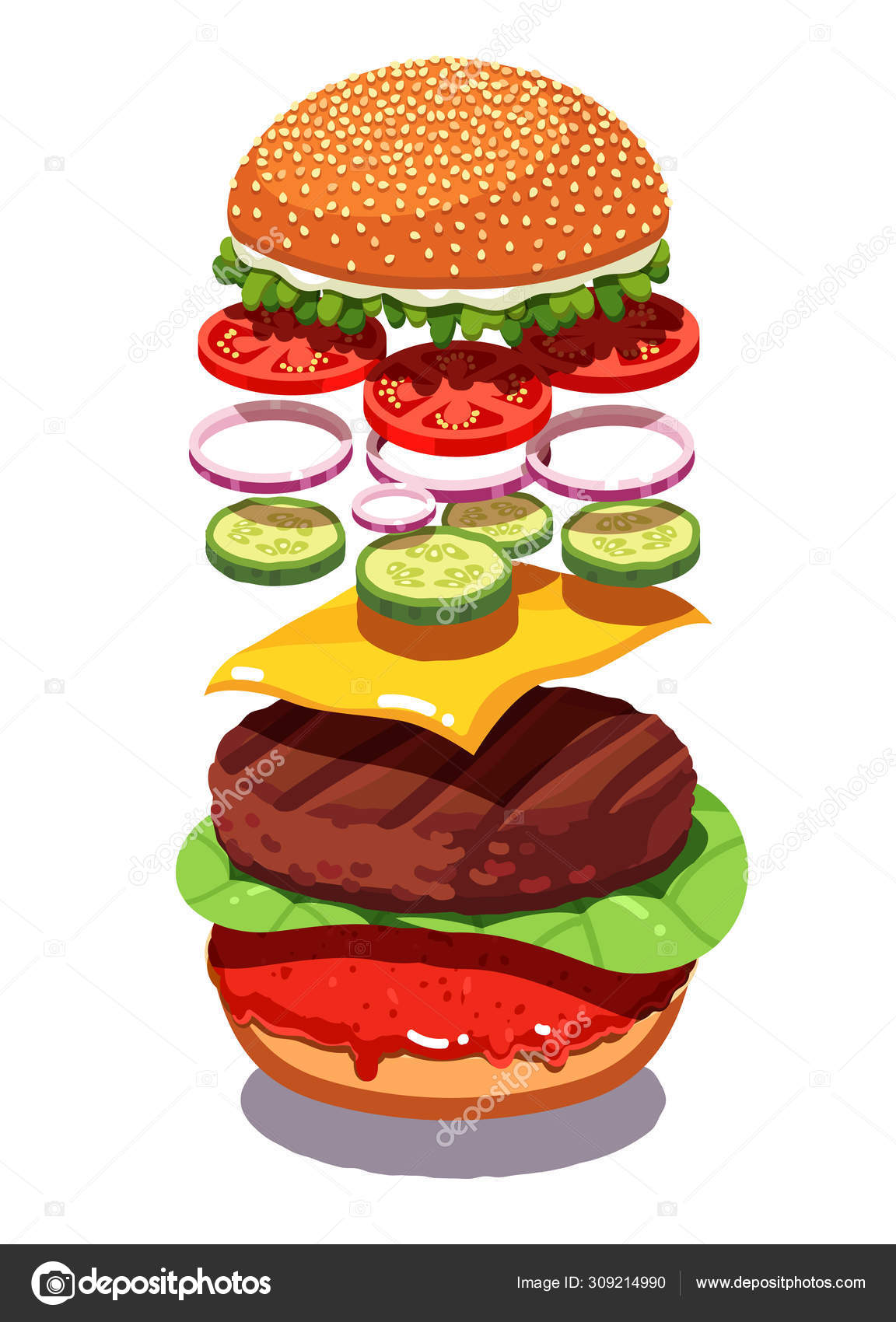 Exploded view American cheese burger or hamburger ⬇ Vector Image by ...