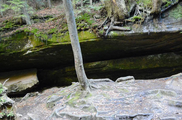 light blue stream of water flowing through a forest - Stock Image ...