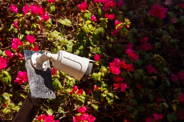 Surveillance camera or CCTV system is device to record video for ...