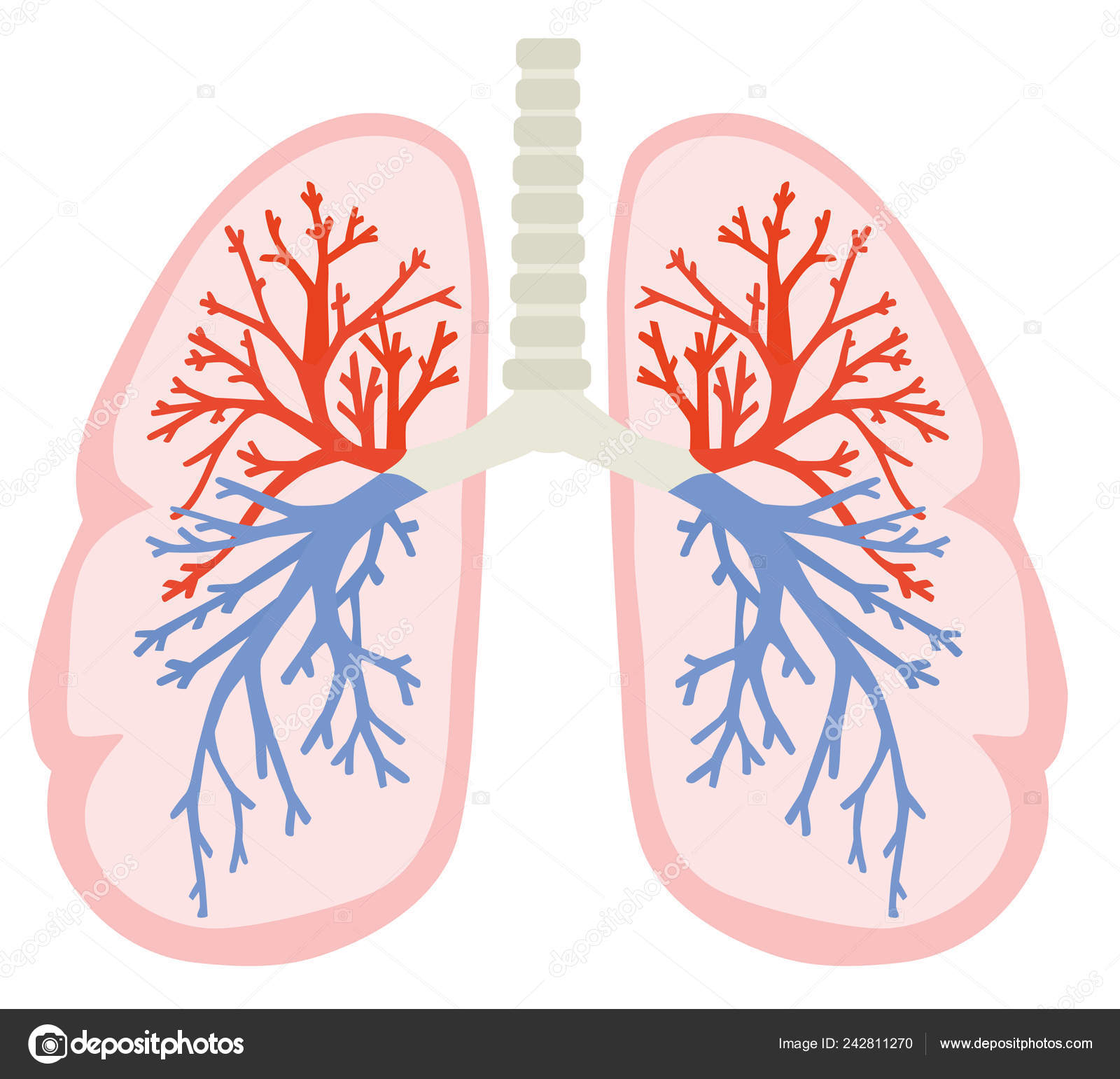 Tegneserie Menneskelige Lunger Joggers Man En Vrouw Die Samen Vector