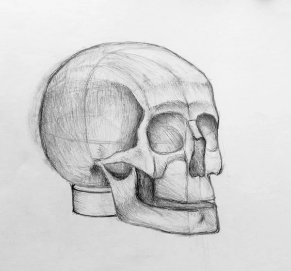 Easy Skull Drawings In Pencil