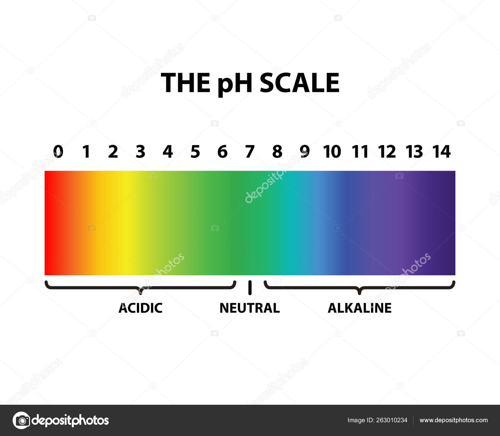 Colored Scale Rainbow Isolated Vector Illustration Stock Vector Image ...