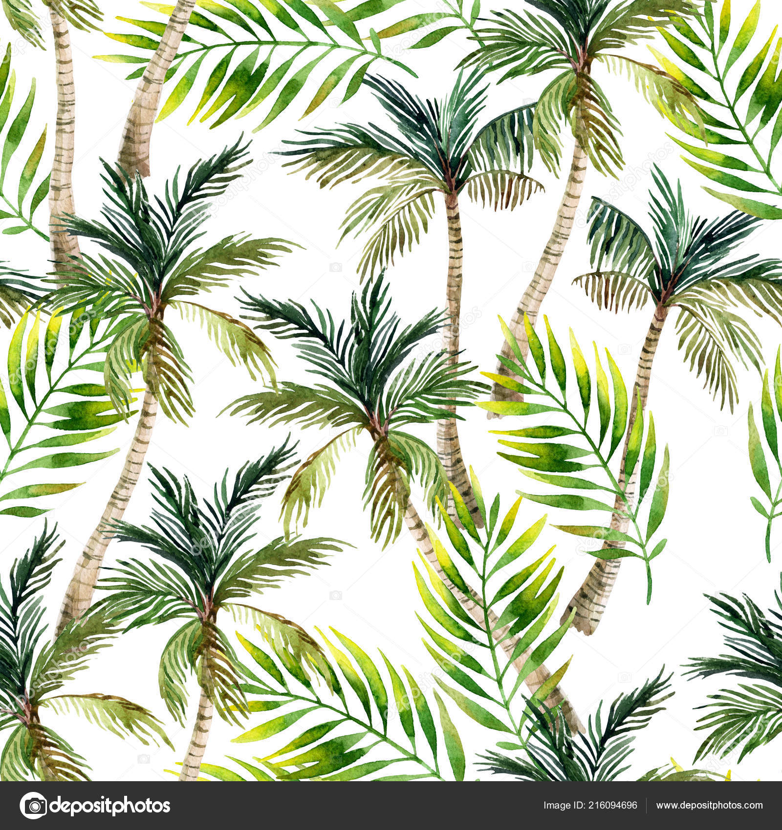 Palm Tree Leaf Pattern