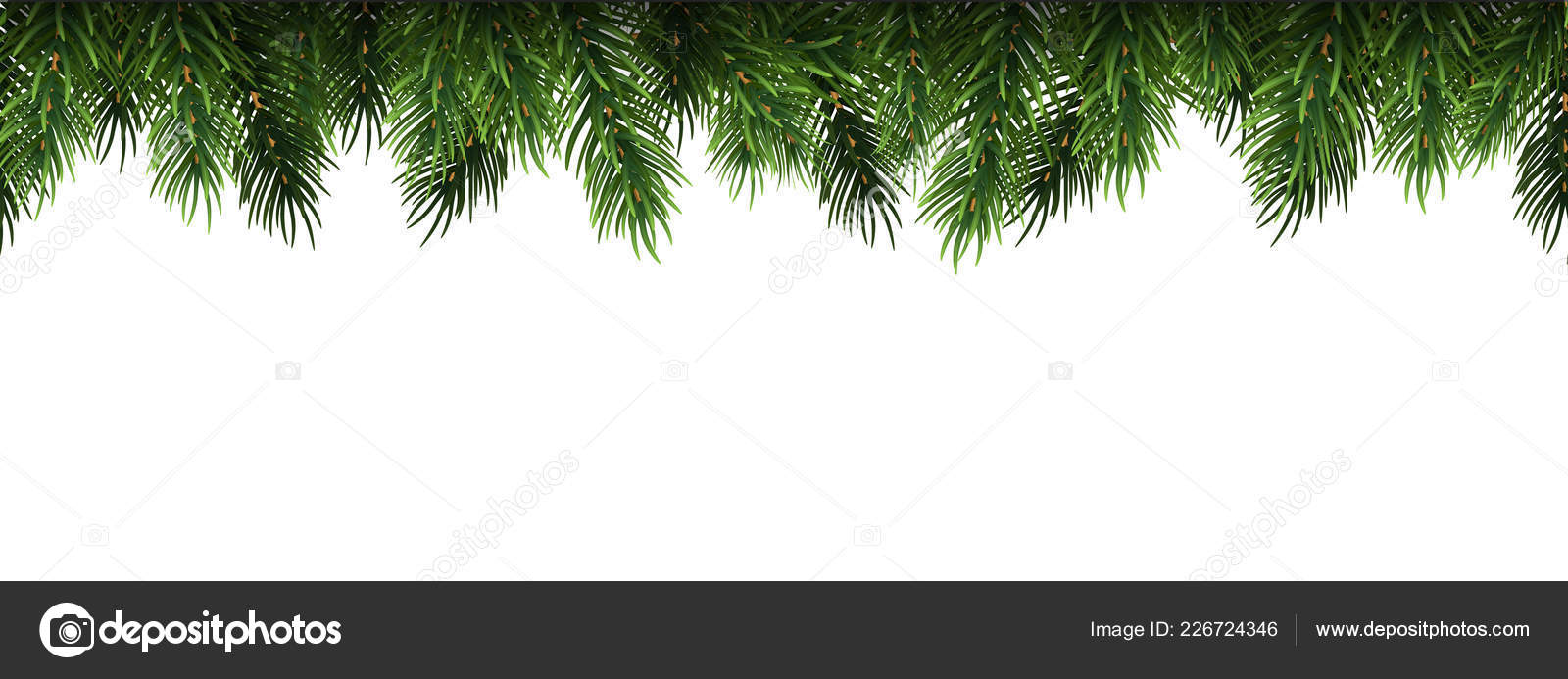 Christmas Pine Branch Border