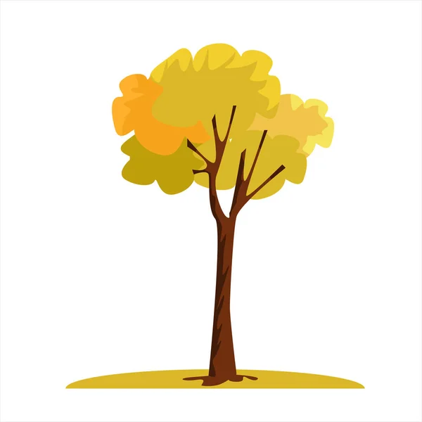 Single yellow tree in autumn season. Fall season tree with solid color ...