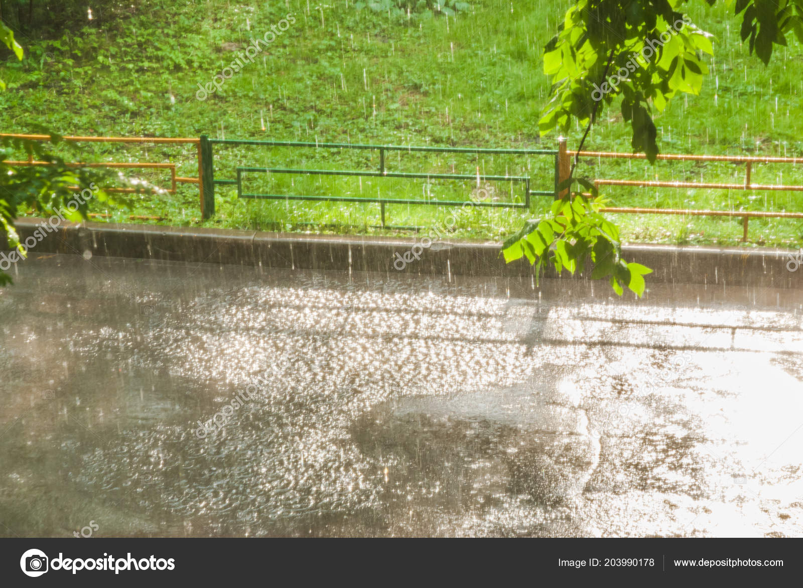 Rain Window Sunshower Blind Rain Sun Shines Wet Trees Stock Photo by ...