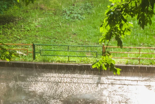 Rain Window Sunshower Blind Rain Sun Shines Wet Trees Stock Photo by ...