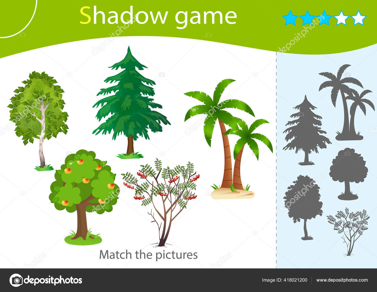 Different Types Of Trees For Kids