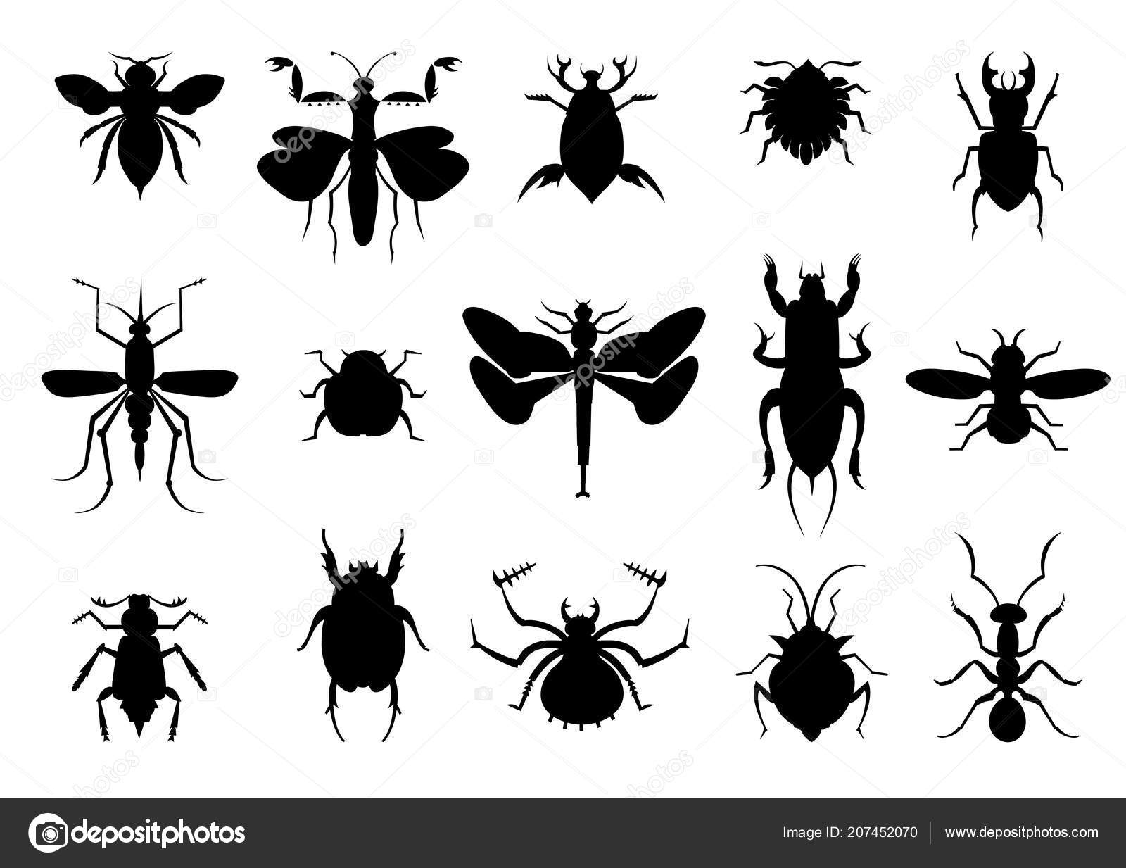 Vector Set Insect Silhouettes Stock Vector Image by ©struvictory #207452070