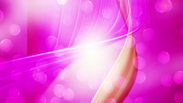 Pink Background International Women's Day Elegant Concept — Stock Video ...