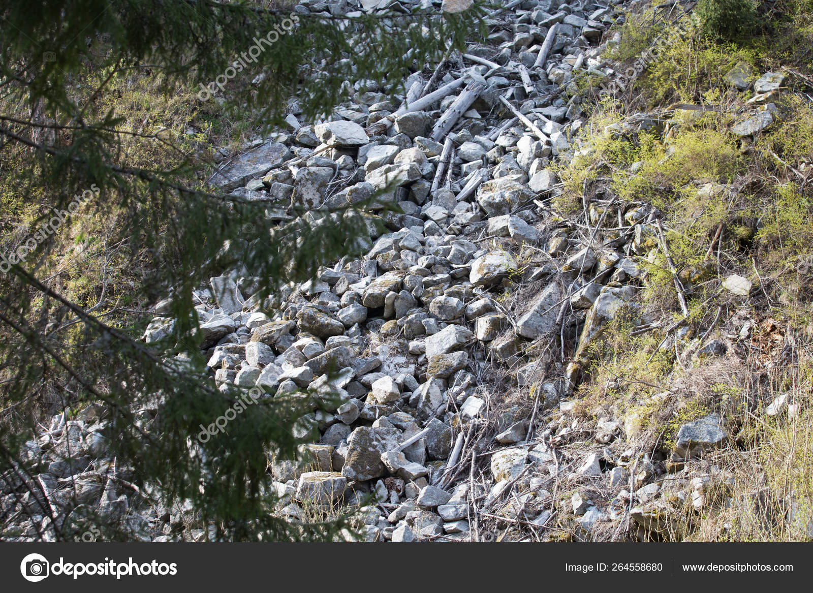 Illegal Logging Deforestation Rock Fall Hazard Risk Stock Photo by ...