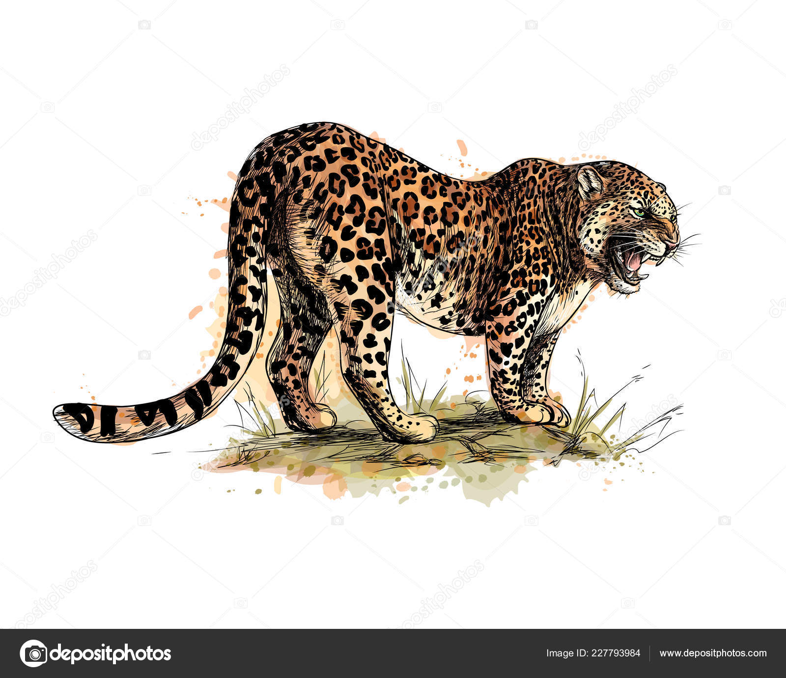 Tegning Av Leopardhode Hot House Leopards, Pair, Pink Green, Art Print