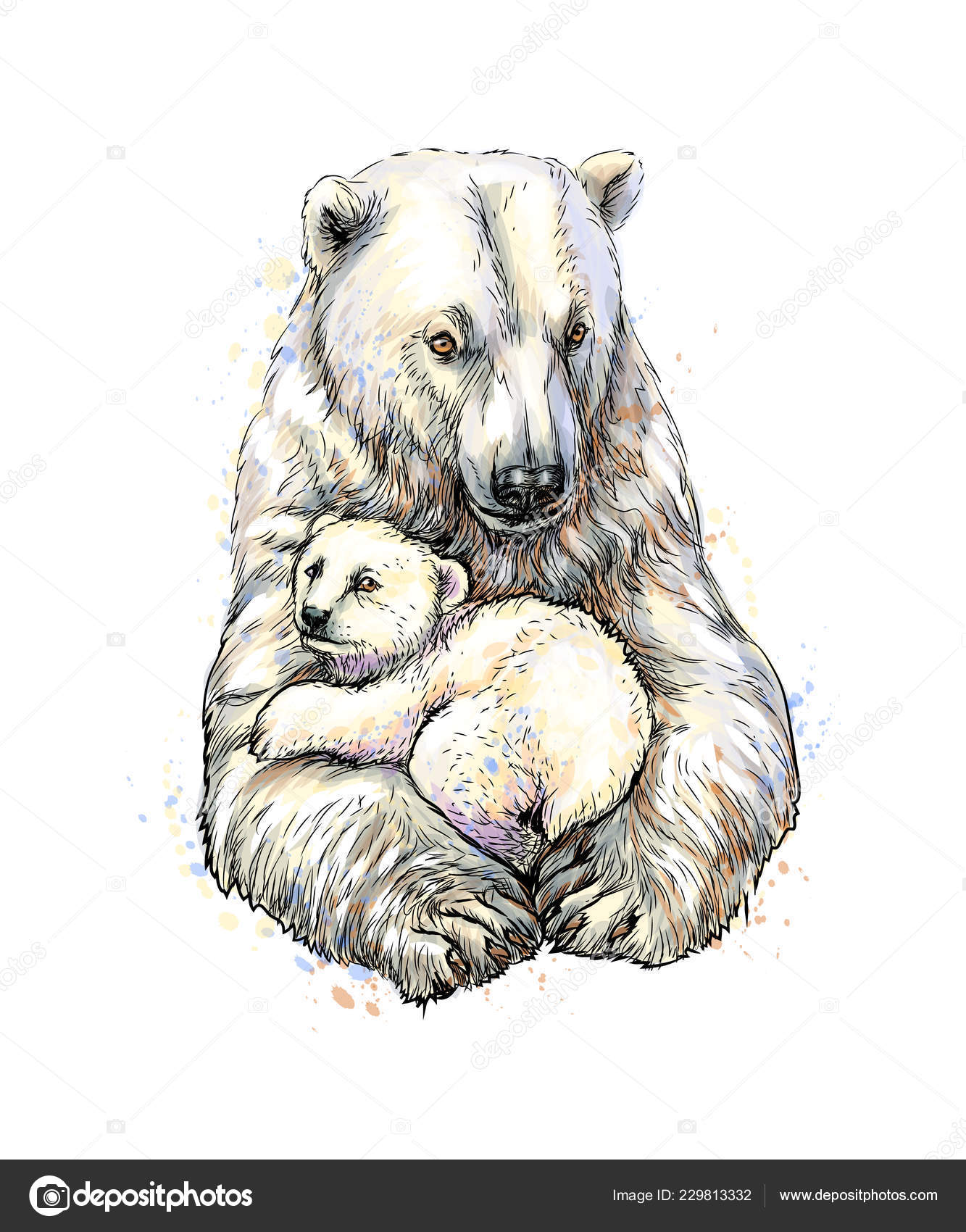 Bear Cub Outline Drawing