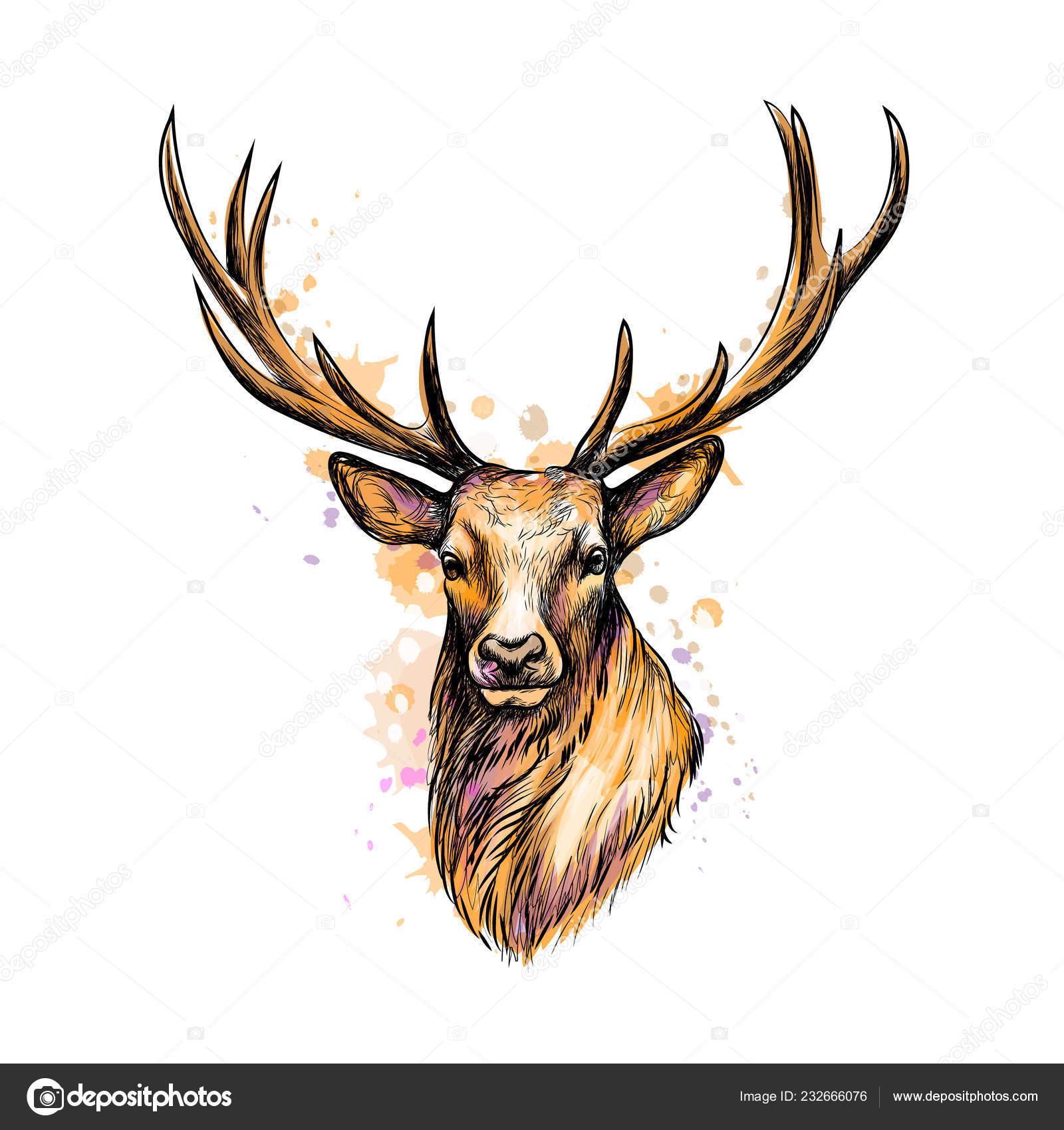 Portrait of a deer head from a splash of watercolor Stock Vector Image ...