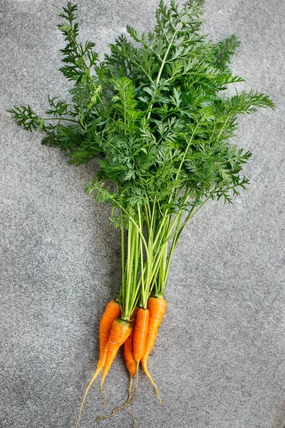 Carrots with tops on grey background - Stock Image - Everypixel