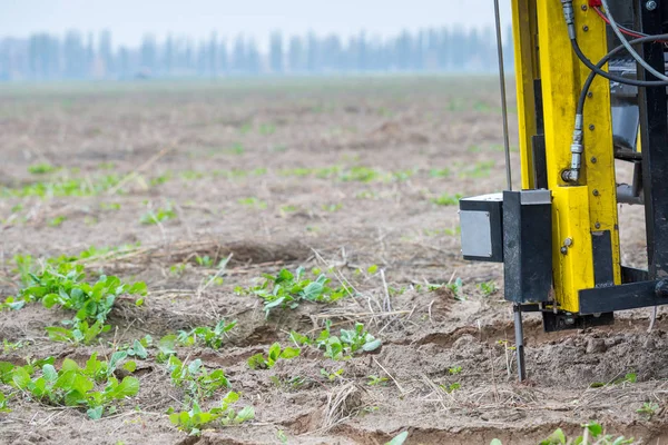 Soil Sampling. Automated probe for soil samples taking sample wi Stock ...