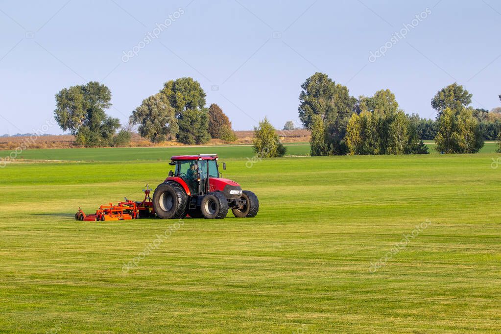 Producción industrial de césped en rollos. Campo recortado, resistente ...